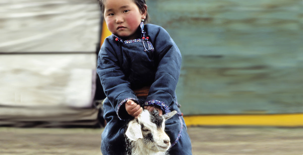 Men's Kid Cashmere Knitwear | Lanificio Colombo